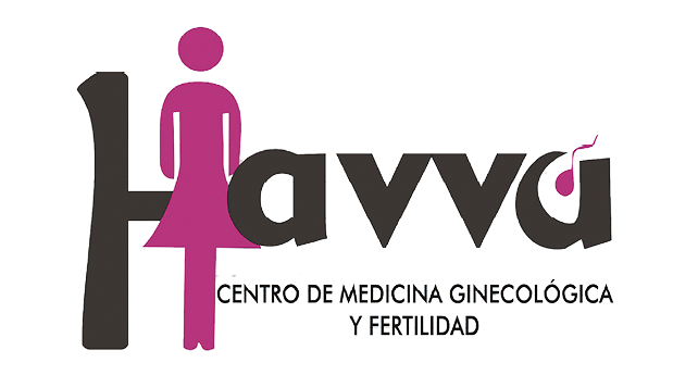 Havva | Contacto